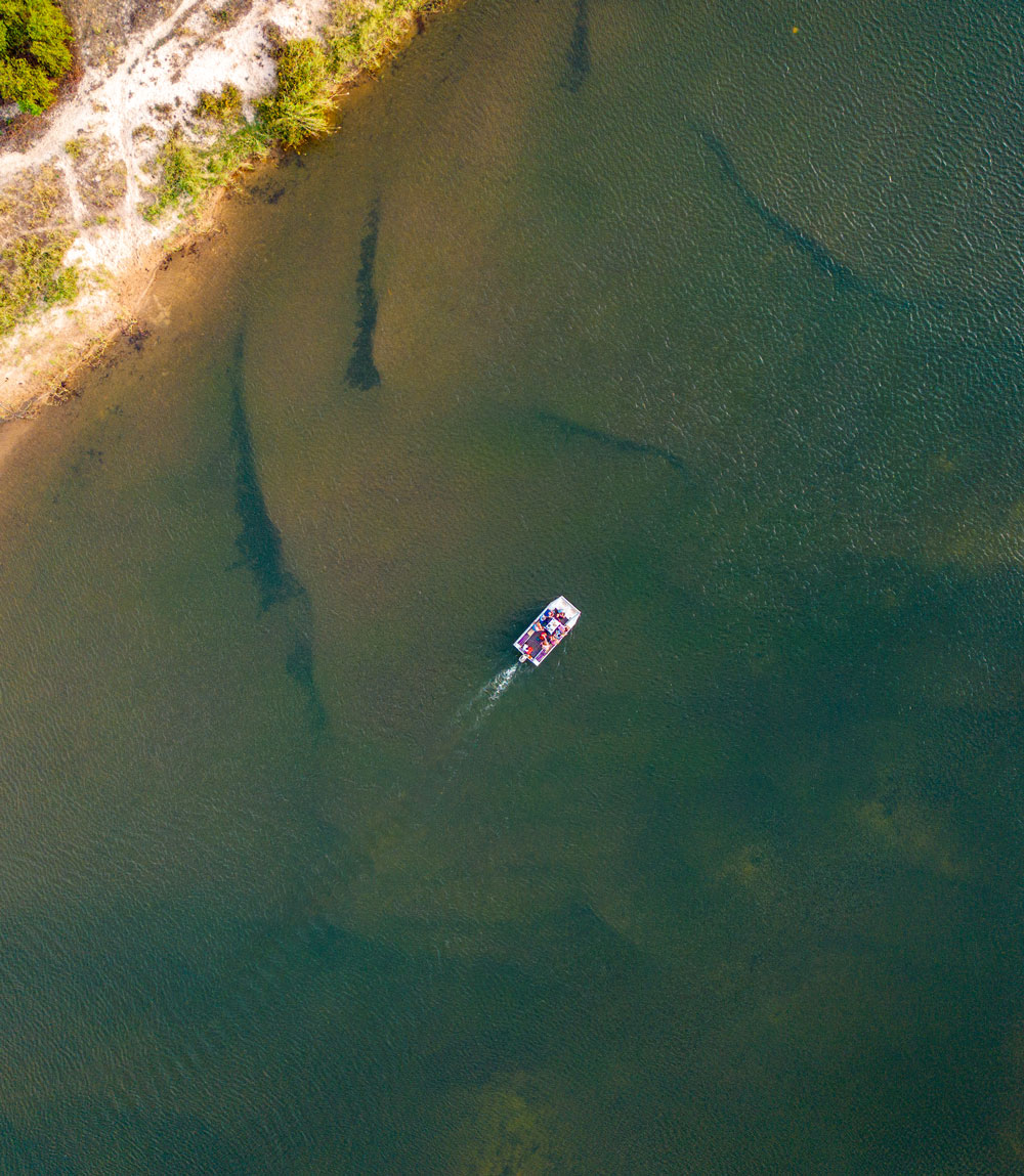 Experiences • Taranga Safari Lodge